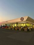 The Cars Cafe (6/18, Sheikh Mohammad Bin Zayed Road, Dubai), kafe