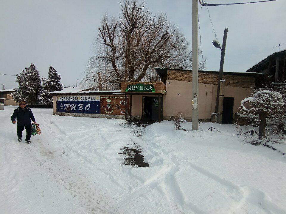 Bar Willow Tree, Bişkek, foto
