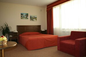 Evelina Palace Hotel (Blagoevgrad Province, Bansko, Bansko, ulitsa Ikonom K. Chuchulayn, 34), otel  Baniçka'dan (Bansko'dan)