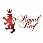 Royal Reef (Moiseenko Street No:12-14В), akvaryumlar  Saint‑Petersburg'dan