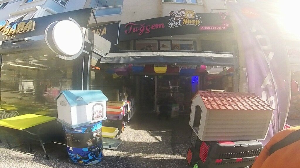 Petshop Royal Canın Alo Mama, İzmir, foto