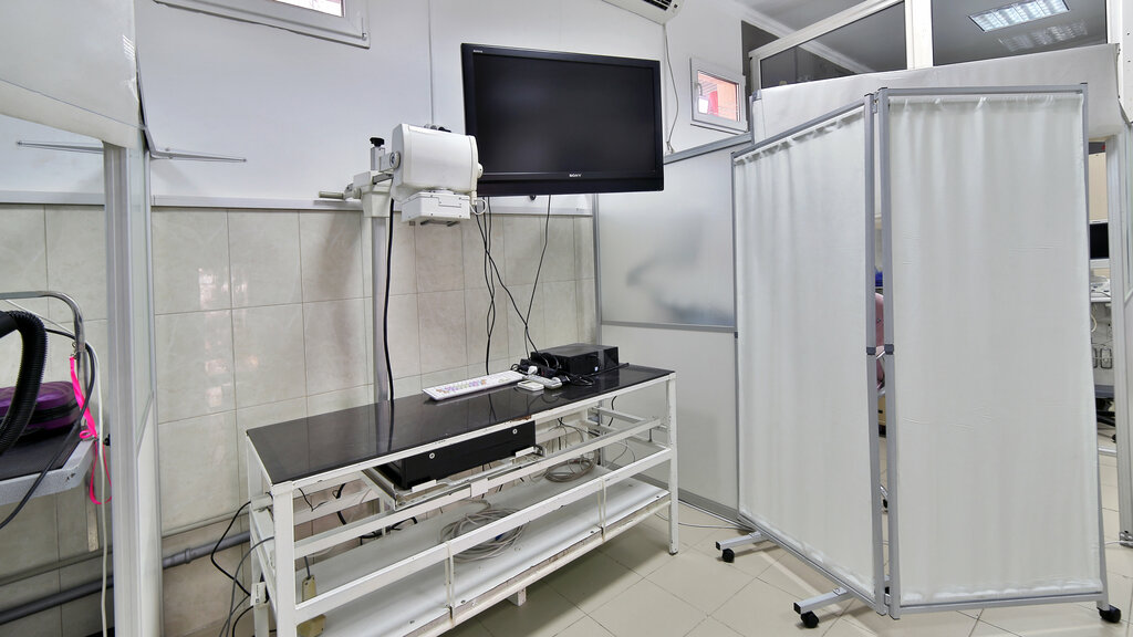 Veteriner klinikleri Veteriner kliniği Belyy lev, Soçi, foto
