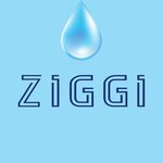 Ziggi (Borisa Zhigulyonkova Street No:21А), su satışı  Moskova'dan