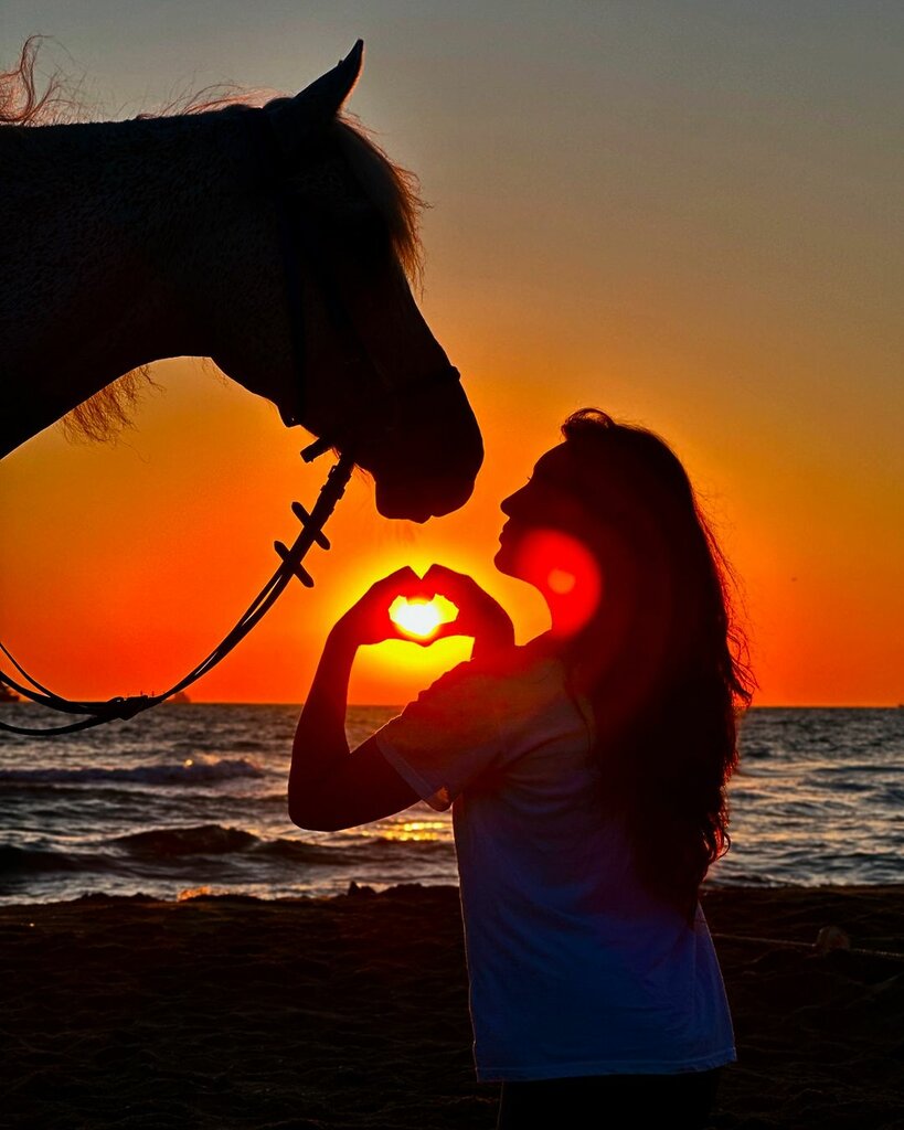 At ve binicilik kulüpleri İstanbul Atlı Okçuluk ve Tarihi Atlı Savaş Sanatları Kulübü, İstanbul, foto