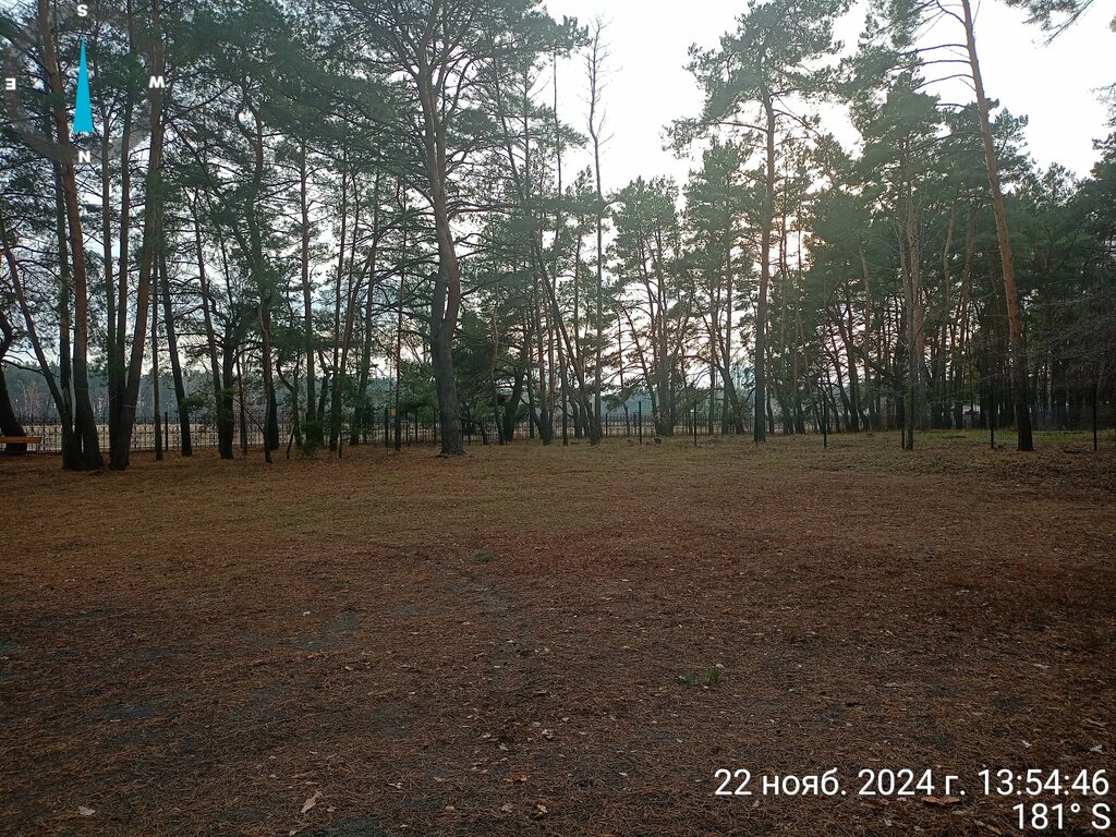 Orman урочище Егорово, Belgorodskaya oblastı, foto