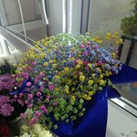 Азины цветы (ulitsa Lenina No:15А), çiçekçiler  Zvenigovo'dan