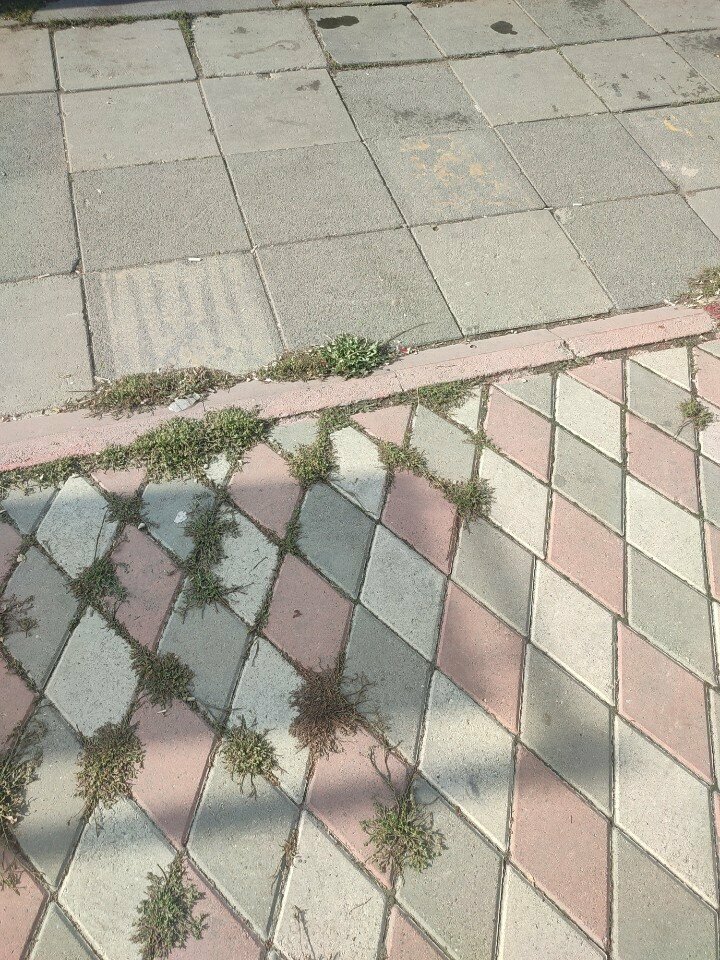 Oto kiralama Kanka Rent A Car Oto Kiralama & Satış, Ankara, foto