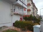 Lion (Ankara Province, Mamak District, Şahintepe Mah., 668 Sok., 1A), spor kulüpleri  Ankara'dan