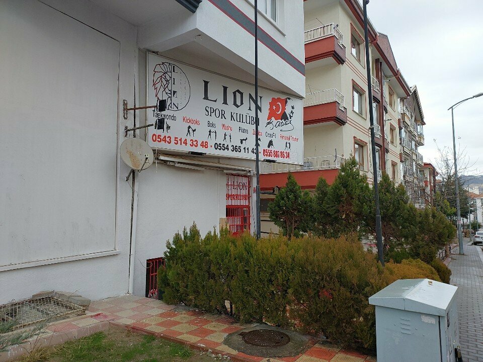 Spor kulüpleri Lion, Ankara, foto