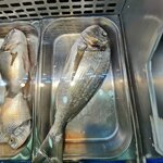 Sarda Deniz Ürünleri (Çanakkale, Çanakkale Merkez , Barbaros Mah., Yavuz Sok.), balık ve deniz ürünleri  Çanakkale'den
