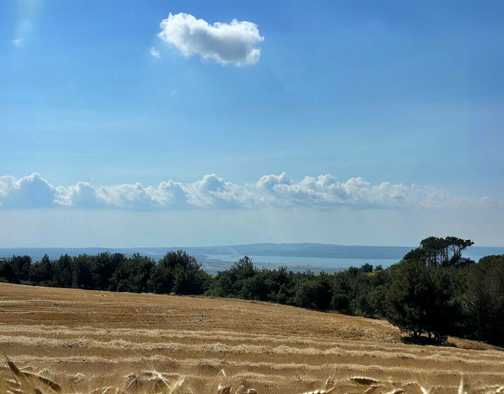 Emlak ofisi Ekim Gayrimenkul, Çanakkale, foto