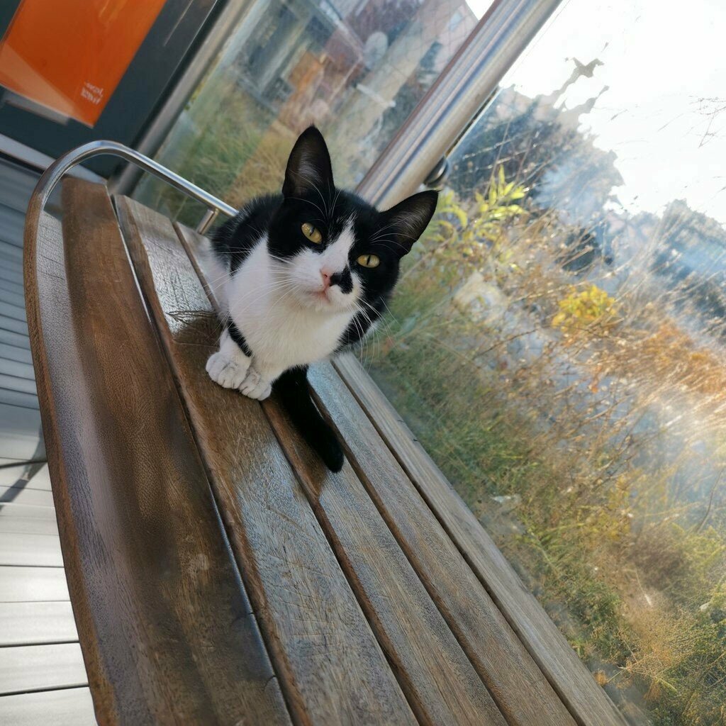 Kültür ve eğlence parkları Şehit Emrah Yiğit Parkı, Ankara, foto