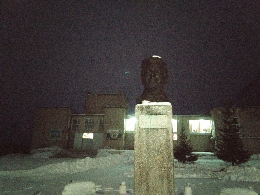 Anıt, heykel Бюст С.М. Кирова, Kirovskaya oblastı, foto