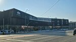 Tiketon (Äl-Farabï alañı No:3/1), etkinlik gişeleri  Çimkent'ten (Şımkent'ten)