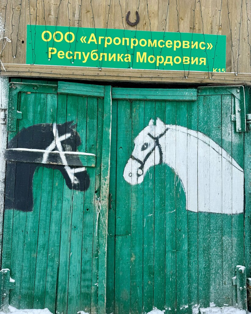 Hayvancılık ФГУП Племенной конный завод Мордовский, Mordovya, foto