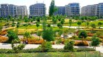 Spring Rose Landscape (4, China-D Street, China Cluster, Dubai International City, Mushraif, Dubai), çevre peyzaj hizmetleri