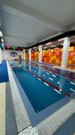 Alpha Swim (Kenesary han kóshesі No:141), yüzme havuzları  Almatı'dan