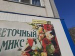 Магазин цветов и подарков (Muromtsevskiy pereulok No:13), çiçekçiler  Biysk'ten