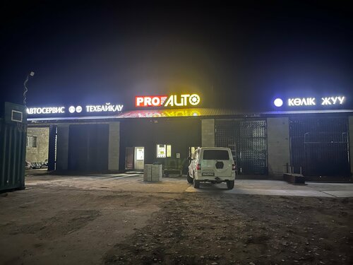 Kamyon oto yıkama ProAUTO, Şalkar, foto