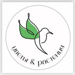 Цветы и растения (Lazurnaya ulitsa No:50, selo Alekanovo, KP Lastochka), çiçekçiler  Riazanskaya oblastından