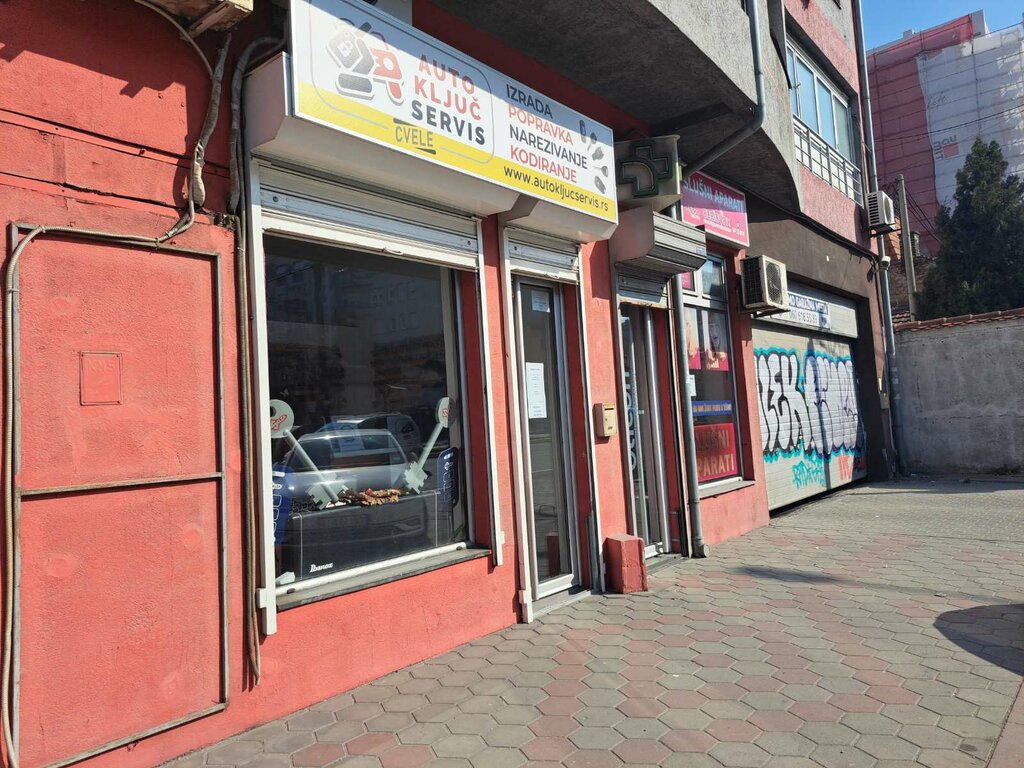 i̇şitme cihazları Audiovox, Belgrad, foto