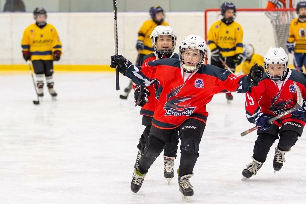 Spor okulları Хоккейный клуб Стрижи, Moskova, foto