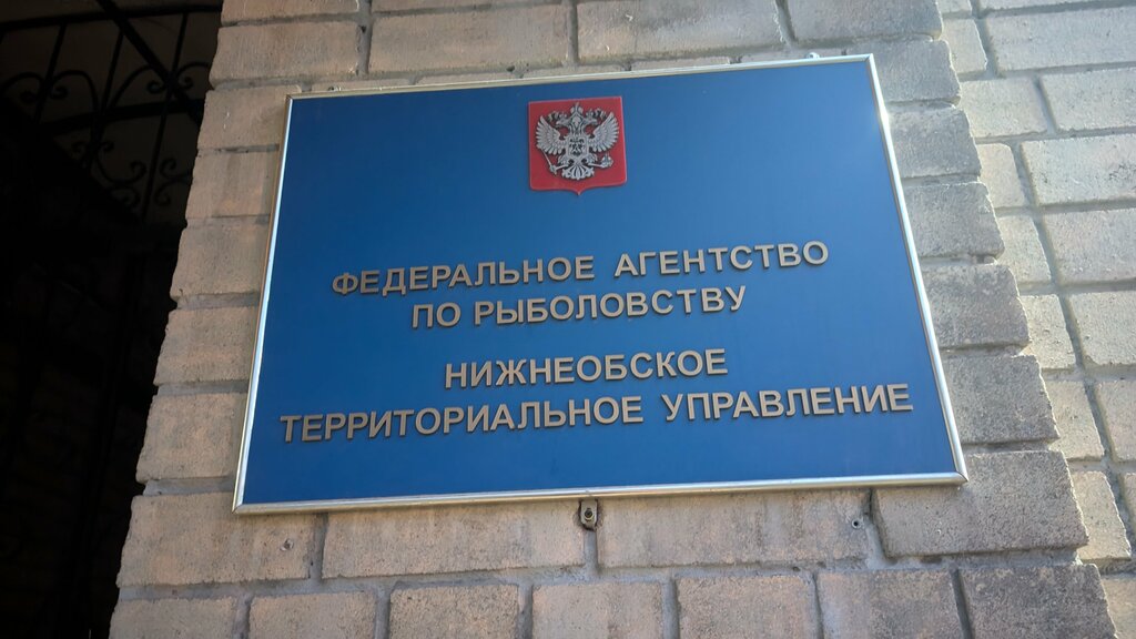 Devlet denetim organları Нижнеобское территориальное управление Федерального агентства по рыболовству, Tiumen, foto