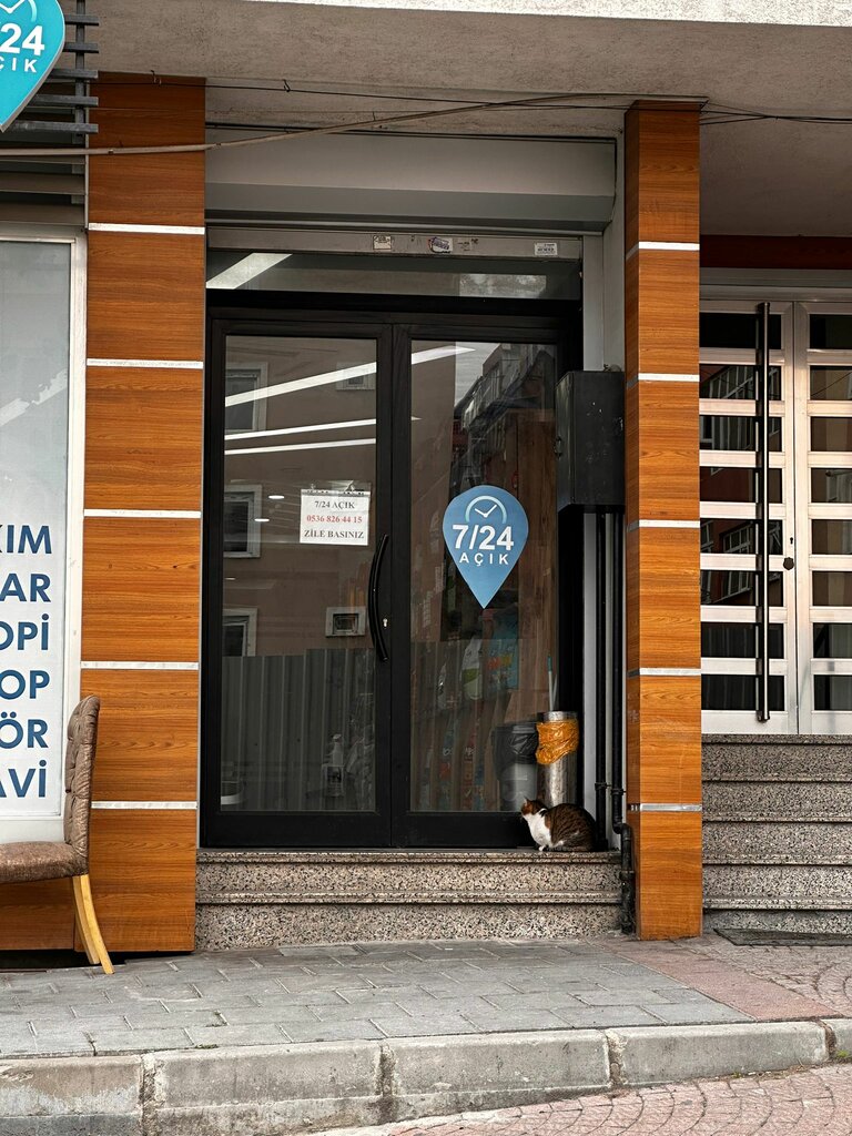 Veteriner klinikleri Pethome Veteriner Polikliniği, İstanbul, foto