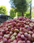 Gazi köyden (Gaziantep, Gazi Muhtar Paşa Blv., 29F), market  Gaziantep'ten