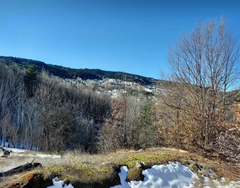 Muhtarlıklar Okluk Köy Muhtarlığı, Araç, foto