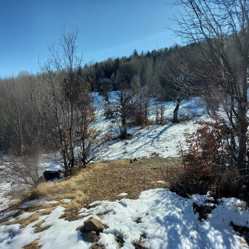 Muhtarlıklar Okluk Köy Muhtarlığı, Araç, foto