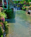 Balıklı Göl Restaurant (Sakarya, Sapanca, Göl Mah., Ceylan Cad., 3), restoran  Sapanca'dan