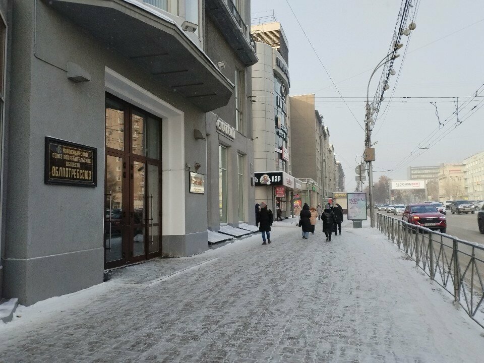 Sivil toplum kuruluşları Акварелисты Сибири, Novosibirsk, foto
