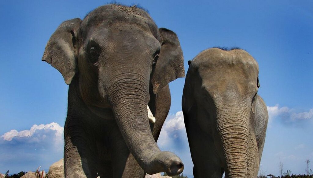 Kültür ve eğlence parkları İzkent Çifte Havuzlar Parkı, İzmir, foto