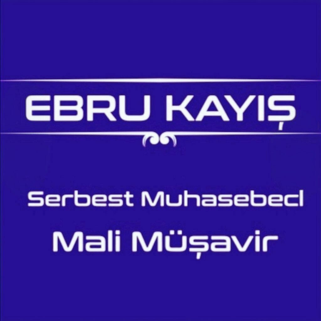 Mali denetleme şirketleri SM Mali Müşavir Ebru Kayış, Bursa, foto