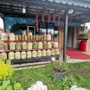 Yıldız Mangal (Ordu, Ulubey, Karakoca Cad., 6), kafe  Ulubey'den
