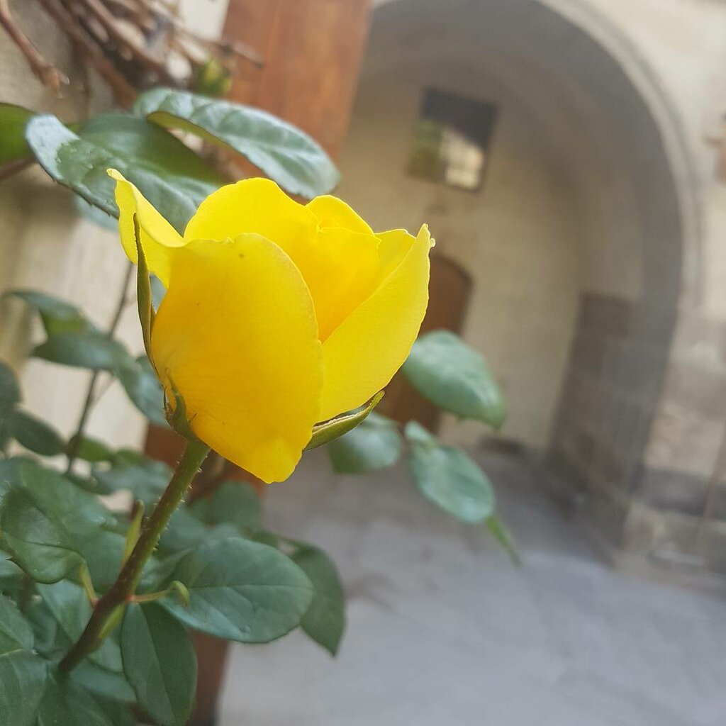 Otel Natura Vera Konak, Ürgüp, foto