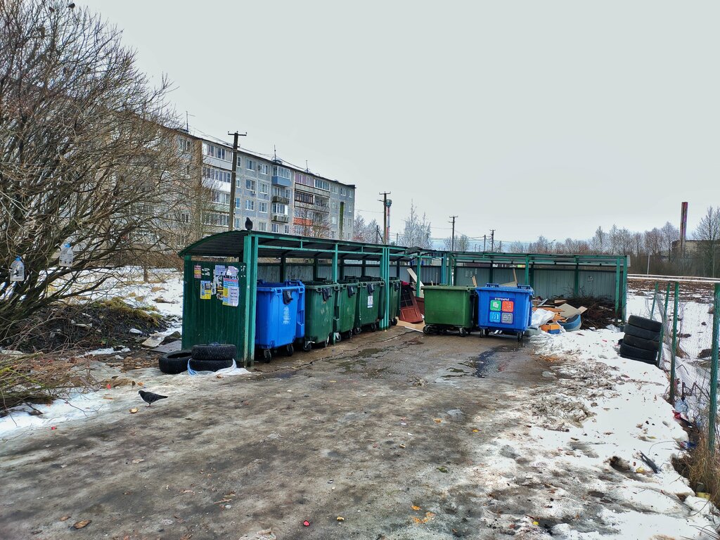 Çöp alanları Trash and garbage disposal area, Novgorodskaya oblastı, foto