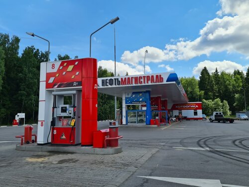 Benzin istasyonu Neftmagistral, Moskova ve Moskovskaya oblastı, foto