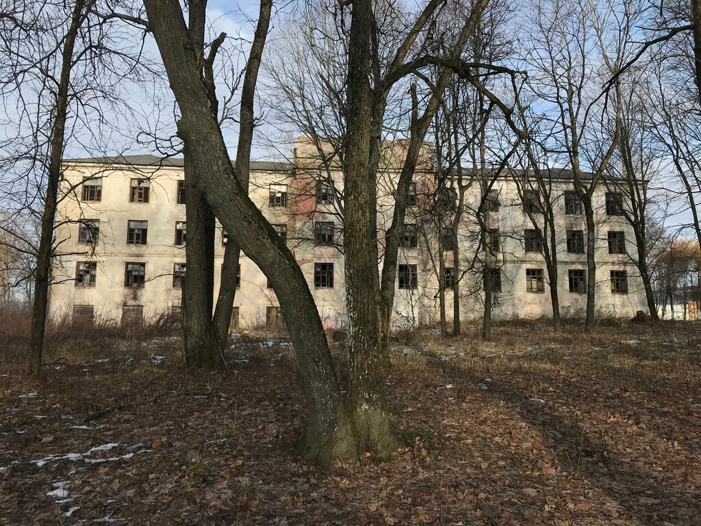 Turistik yerler Старый техникум, Brianskaya oblastı, foto