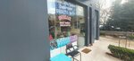 Animal's Club (İstanbul, Kadıköy, 19 Mayıs Mah., Hazım Tepeyran Sok., 10A), petshop  İstanbul'dan