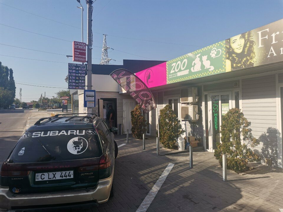 Petshop Zoo Market, Dünya, foto