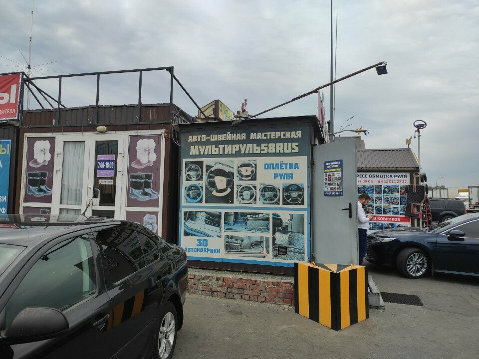 Oto aksesuarları Мультируль 58, Penza, foto