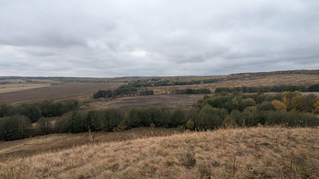 Turistik yerler Ош-панда, Ulyanovskaya oblastı, foto