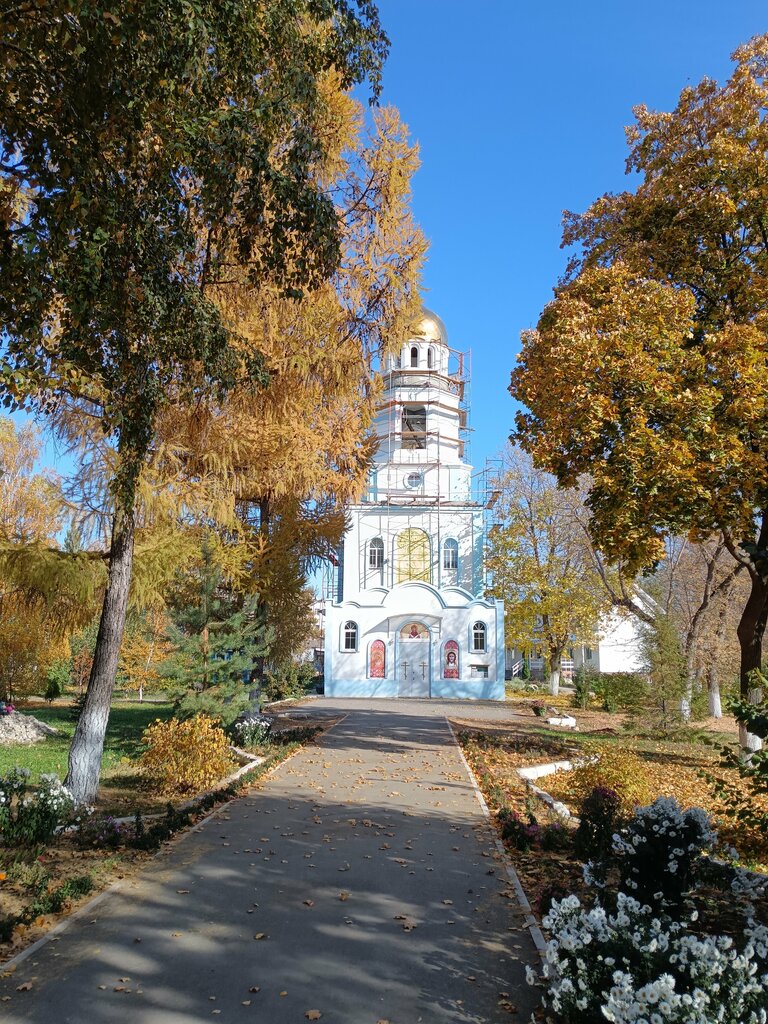Ortodoks kiliseleri Spaso-Bogorodsky khram G. O. Samara, Samara, foto