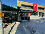 Lale Flowers (Ankara, Gölbaşı, Kızılcaşar Mah., 27 Aralık Cad., 1/1), çiçekçiler  Ankara'dan