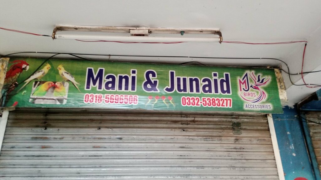 Giyim mağazası Mj Birds, Islamabad, foto