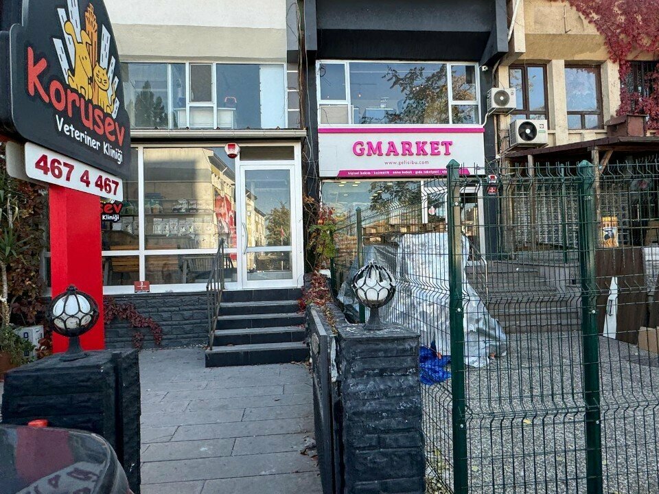 Veteriner klinikleri Korusev Veteriner Kliniği, Ankara, foto