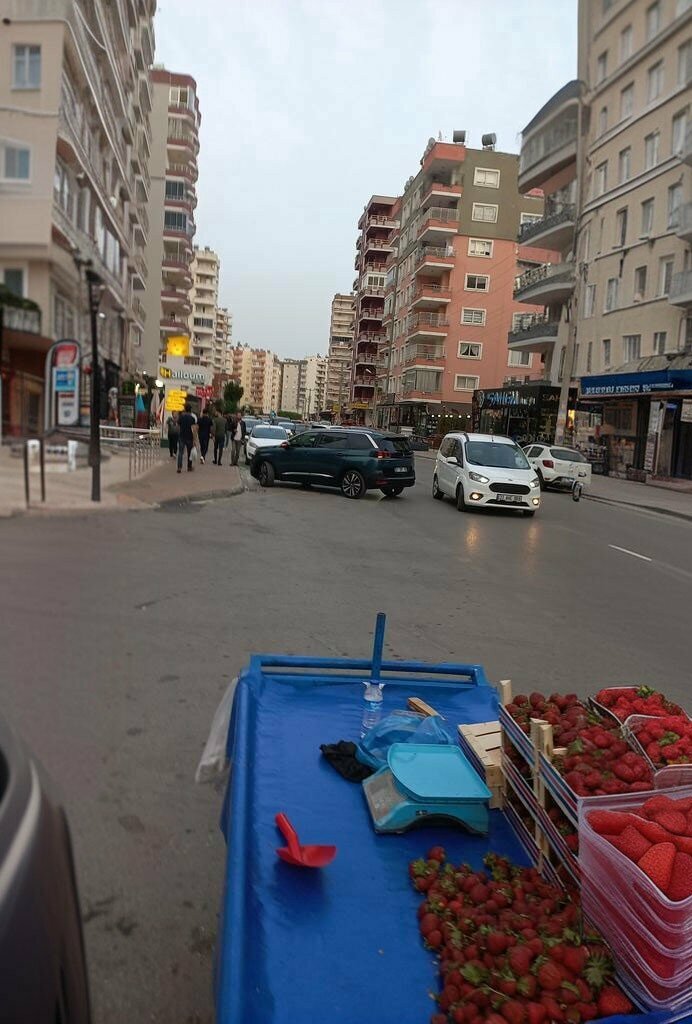 Eğitim merkezleri Başarı Yolu Enstitüsü, Mersin, foto