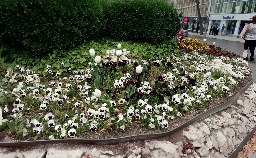 Kültür ve eğlence parkları Eylül Parkı, Soma, foto